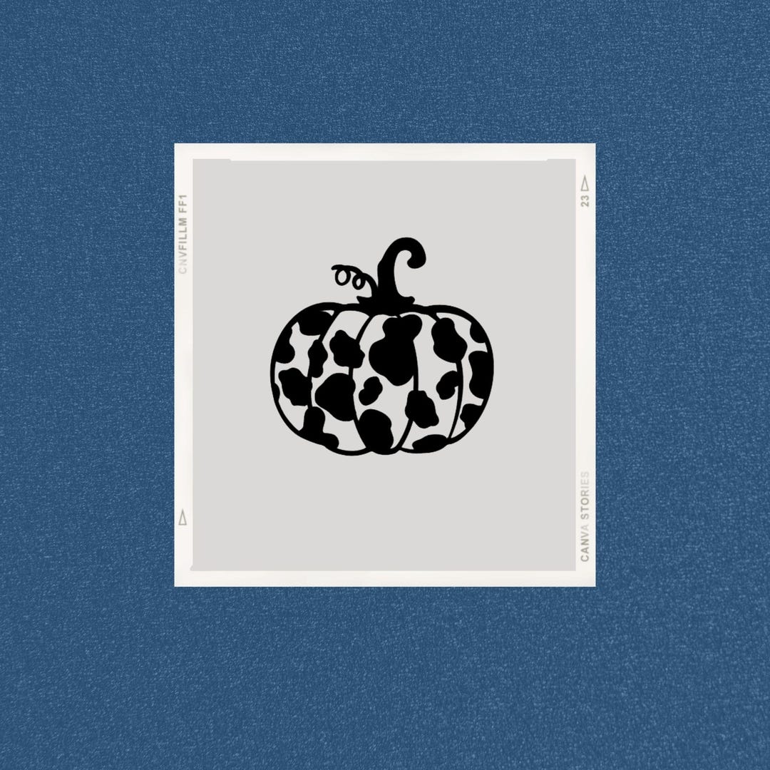 Cow Print Pumpkin Decal | Pumpkin Decal | Cow Print Car Decal | Laptop ...