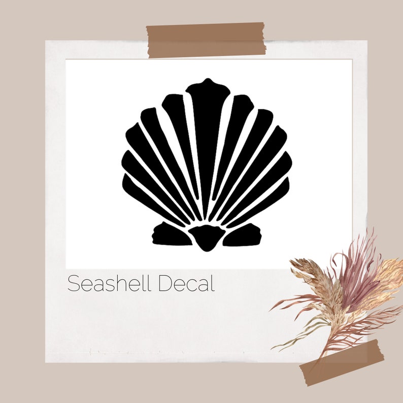 Seashell Decal Shell Car Decal Beach Decal Summer Decal - Etsy