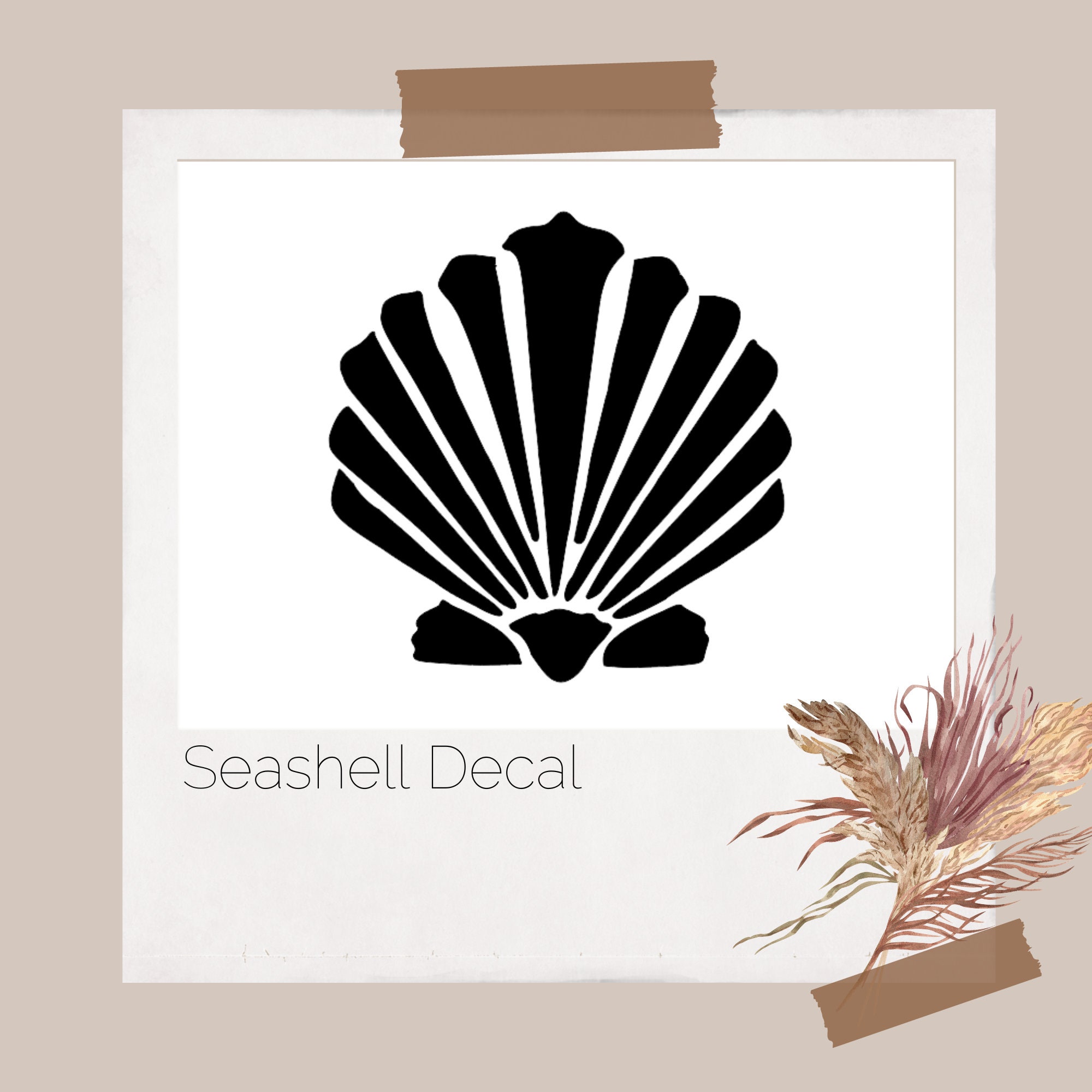 Seashell Decal Shell Car Decal Beach Decal Summer Decal - Etsy