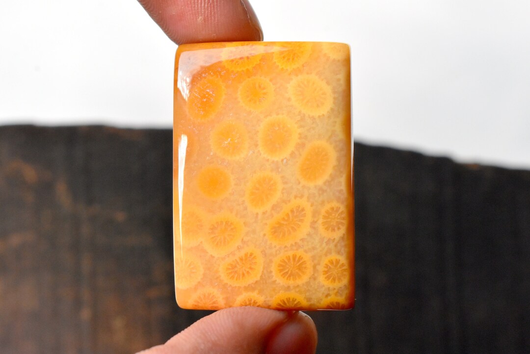 Natural Designer Fossil Coral Jasper Loose Cabochon, Gemstone Cabochon ...