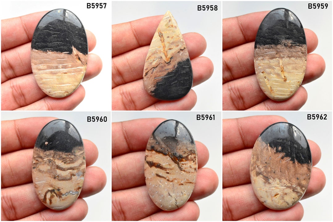 Natural Fossilized Palm Root Agate Cabochon, AAA Petrified Palm Root ...