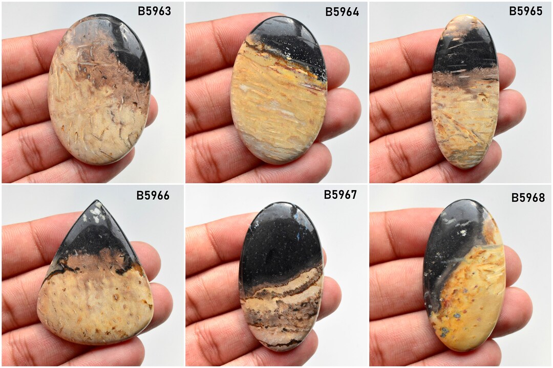 Natural Fossilized Palm Root Agate Cabochon, AAA Petrified Palm Root ...