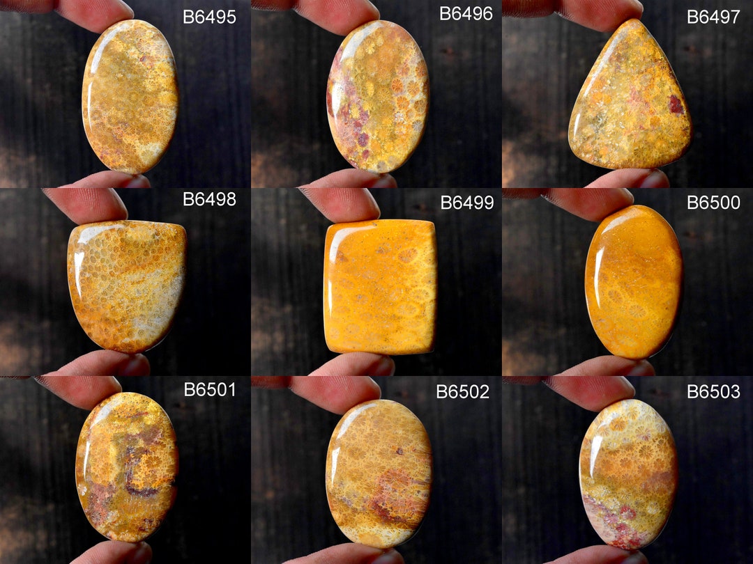 Natural Designer Fossil Coral Jasper Loose Cabochon, Gemstone Cabochon ...
