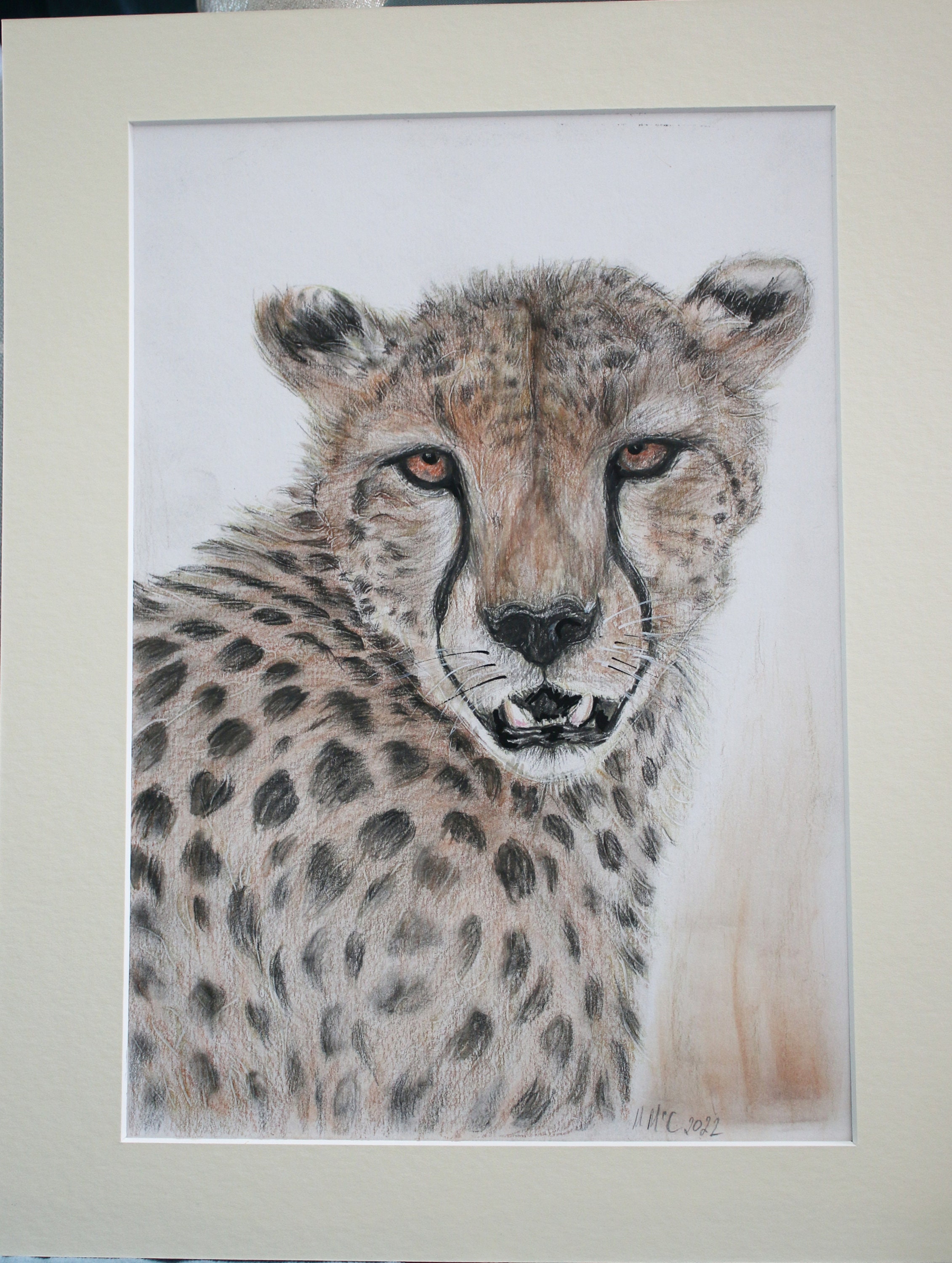 How To Draw A Realistic Cheetah