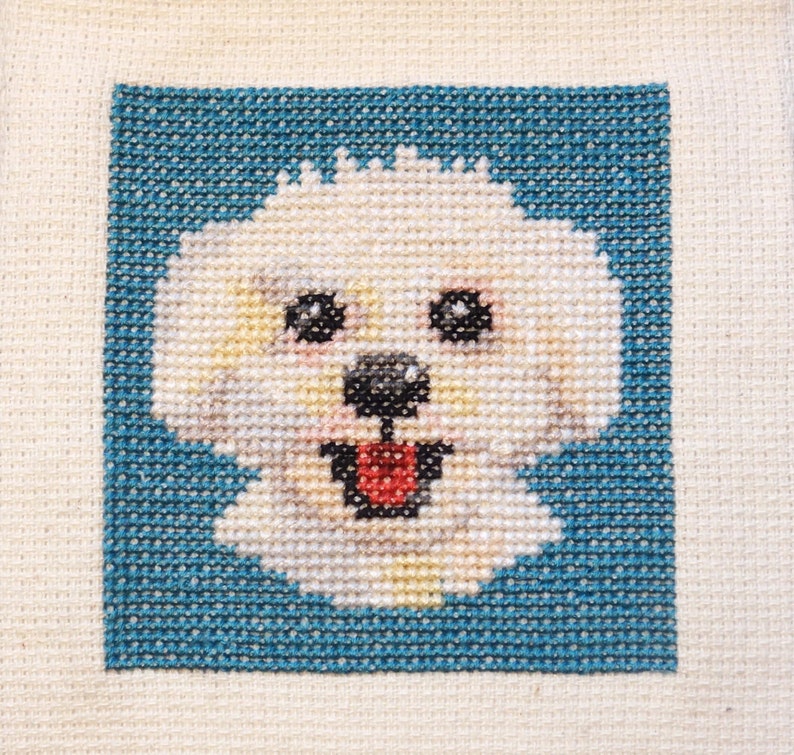 Bijon Frisé Dog Cross Stitch Pattern Instant Download - Etsy