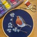 Robin Counted Cross Stitch Pattern - Etsy
