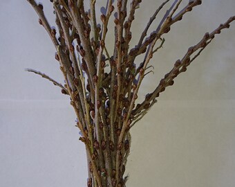 Tree branches | Etsy