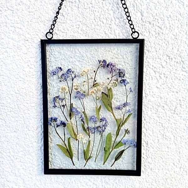 Dried Forget Me Not - Etsy