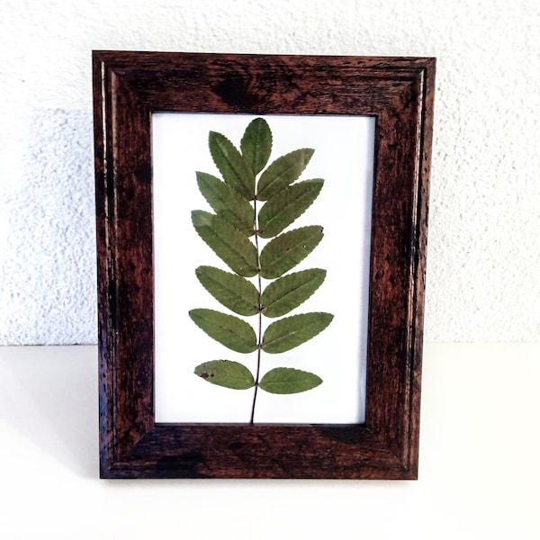 Rowan Tree Art - Etsy