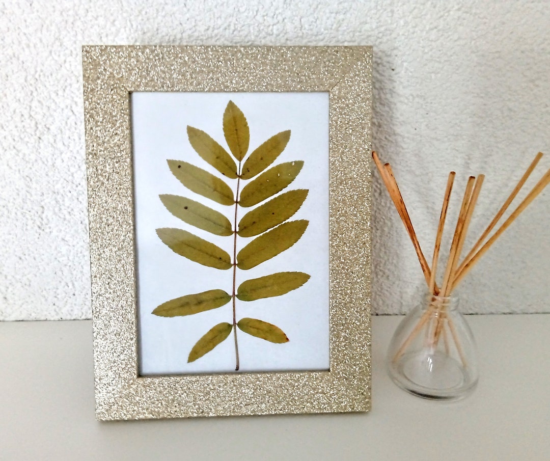 Wonderful Real Rowan Leaf in Gold Frame Protective Rowan Tree Pagan ...
