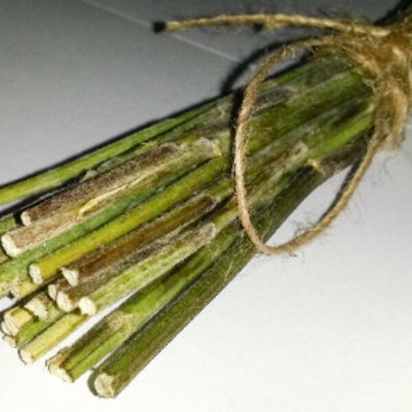 I Ching Yarrow Stalks - Etsy