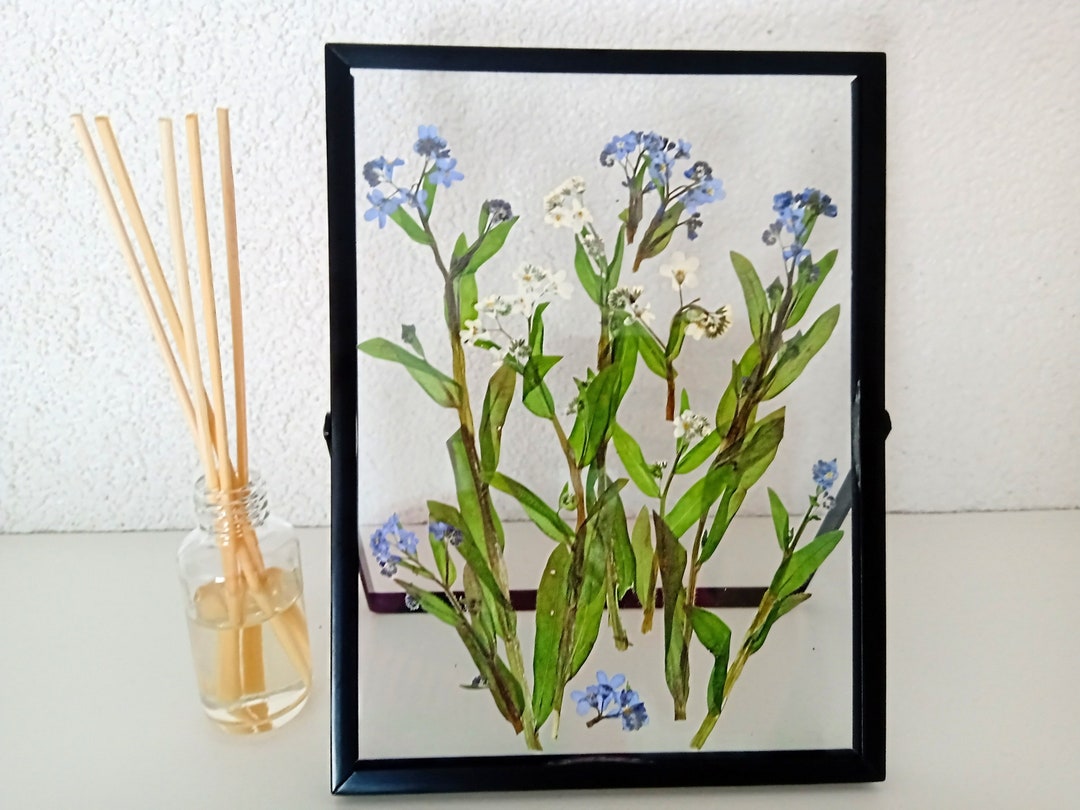 Pressed Flower Forget Me Not Frame Glass Home Decor Dried Flowers ...