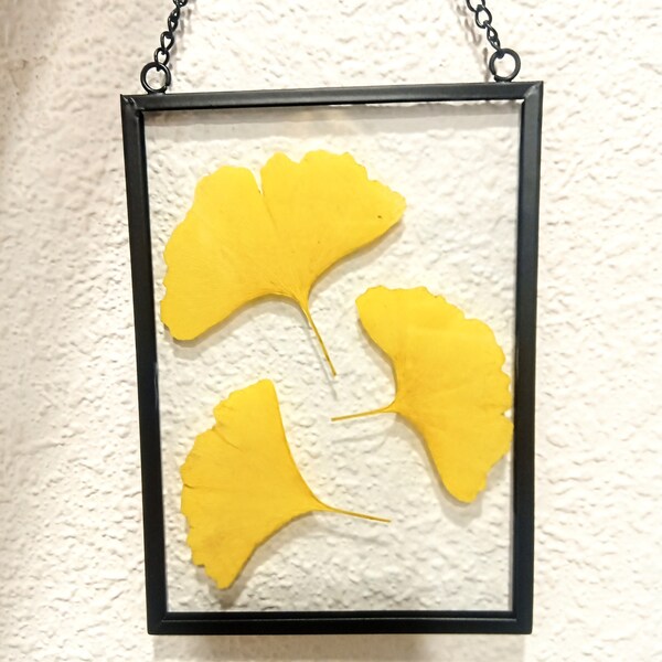 Ginko Leaves Wall Art - Etsy