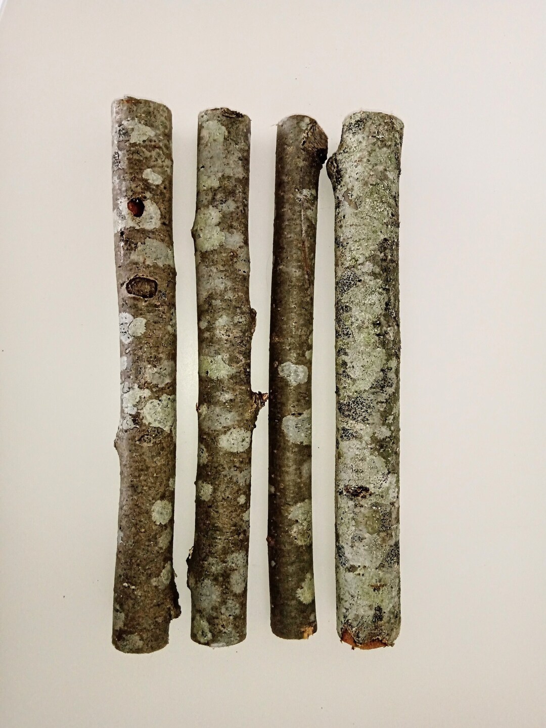 1 Large Rowan Wood Sticks 11''12'' Mountain - Etsy