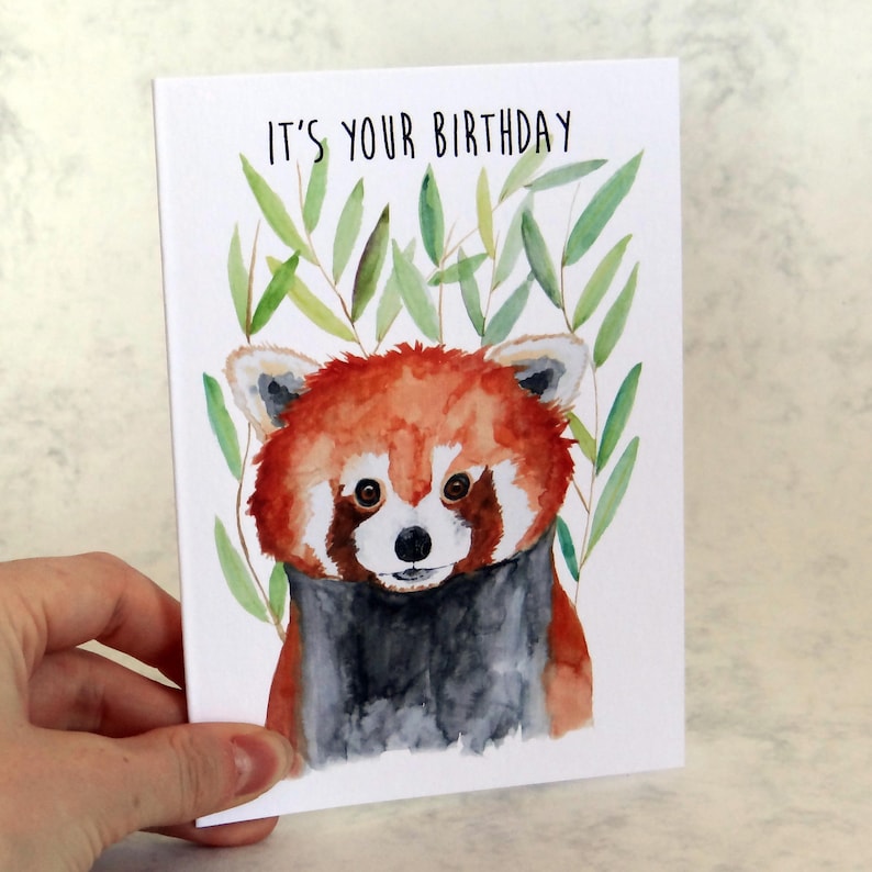Red Panda Card Animal Birthday Card Red Panda Birthday Card - Etsy