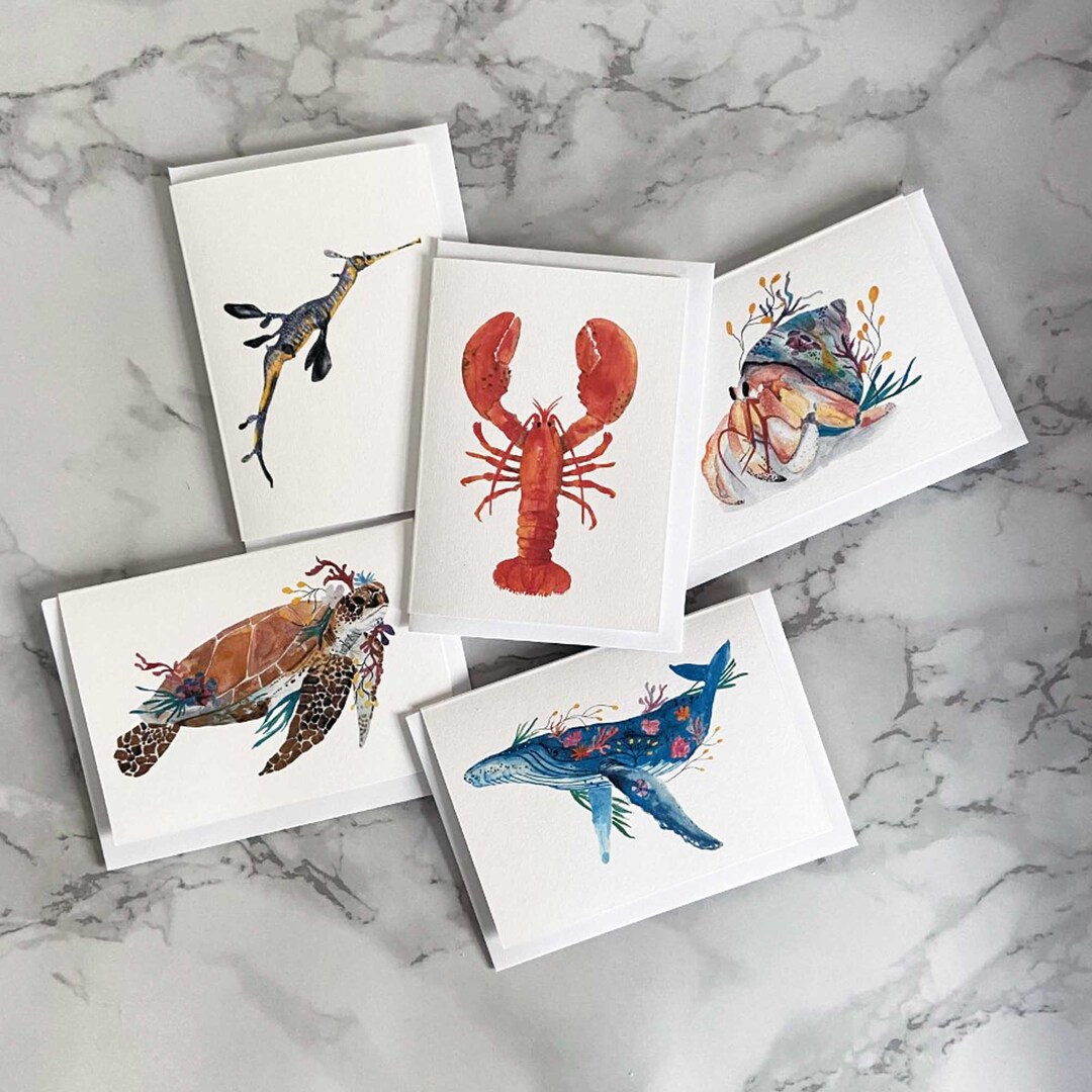 Sea Animal Card Set Animal Card Set Turtle Card Set Card - Etsy