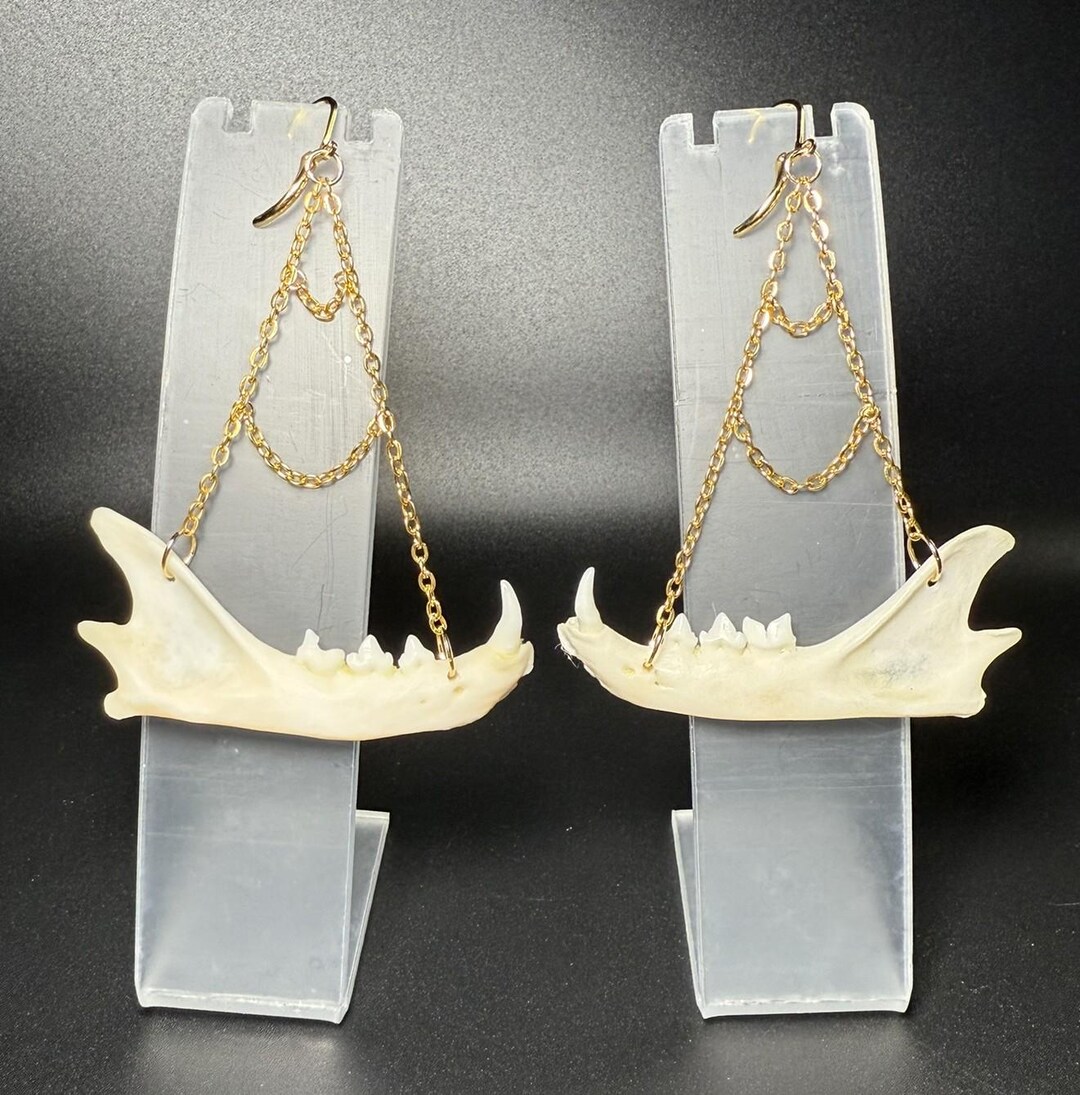Real Bobcat Mandible Earrings | Gold Chain Bone Jewelry | Gothic Nature ...