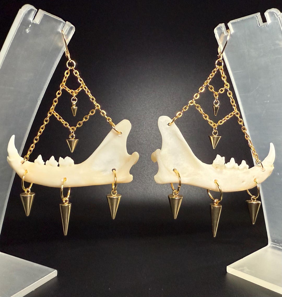 Bobcat Mandible Earrings | Real Bone Gothic Jewelry | Gold Plated Chain ...