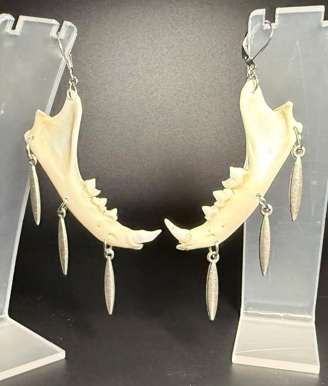 Real Bobcat Mandible Earrings • Bone Jewelry • Gothic Nature Punk ...