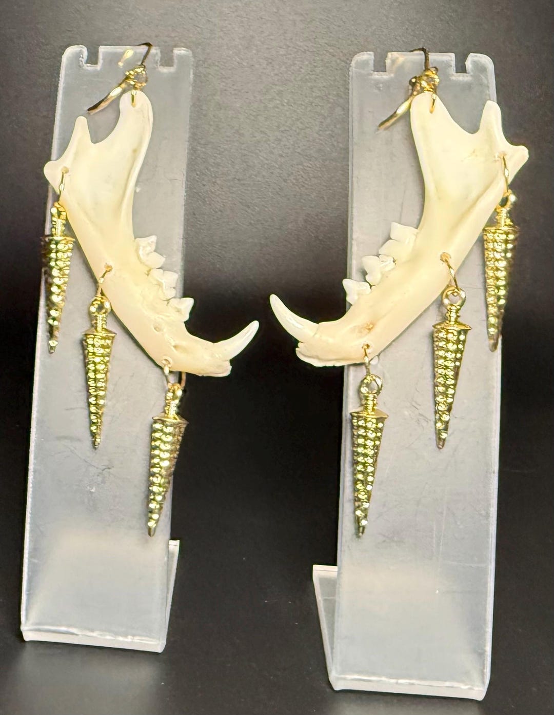 Real Bobcat Mandible Earrings • Bone Jewelry • Gothic Nature Punk ...