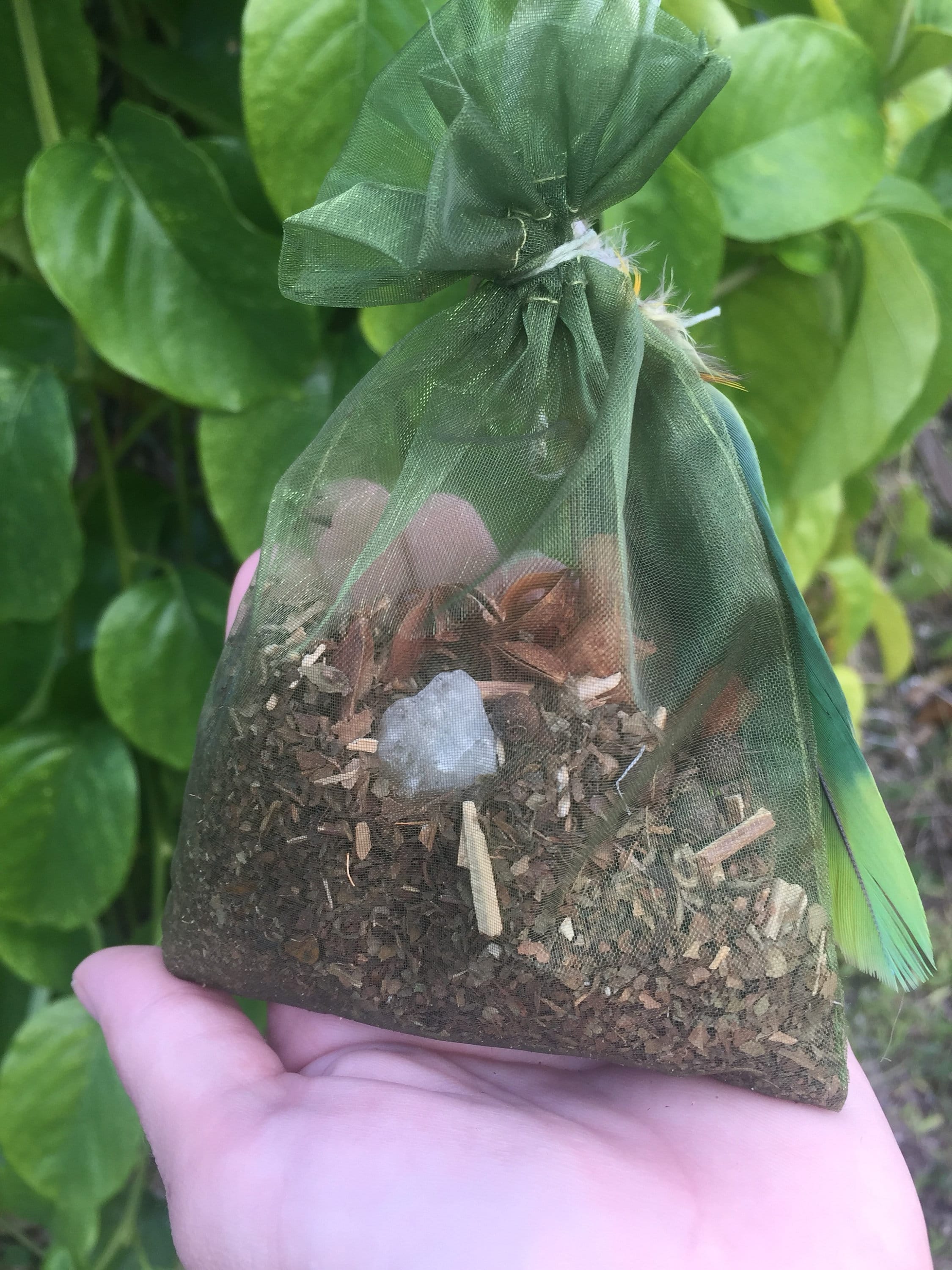 Prosperity Pouch Money Draw Abundance Crystals and Herbs - Etsy