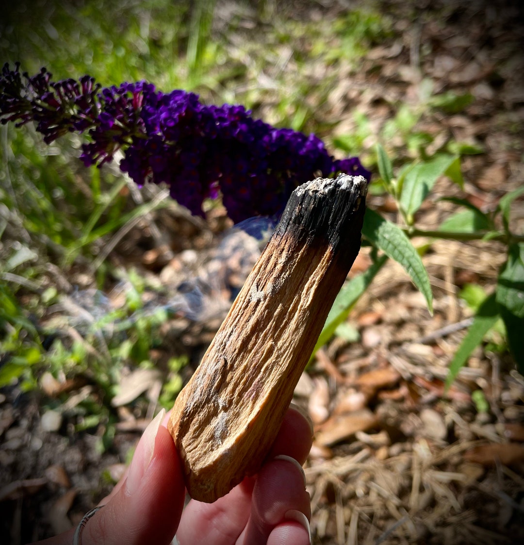 Palo Santo Wood - Smudge Stick - Holy Wood - Etsy