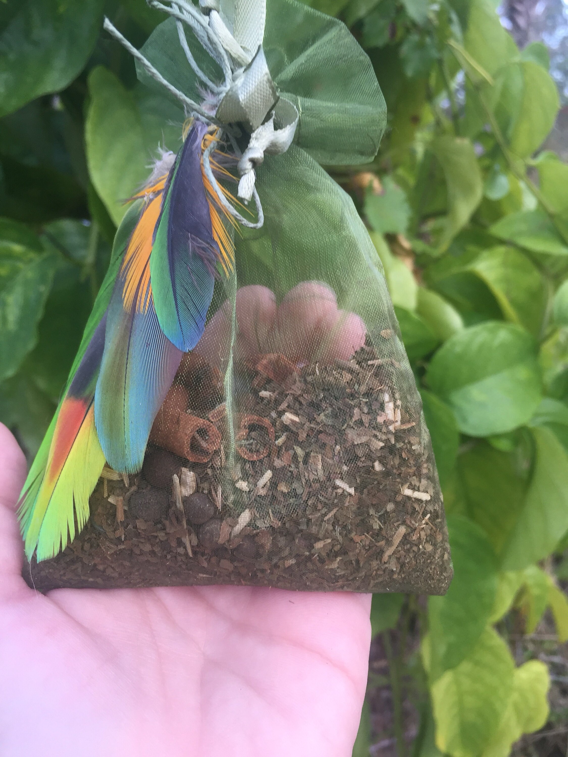 Prosperity Pouch Money Draw Abundance Crystals and Herbs - Etsy