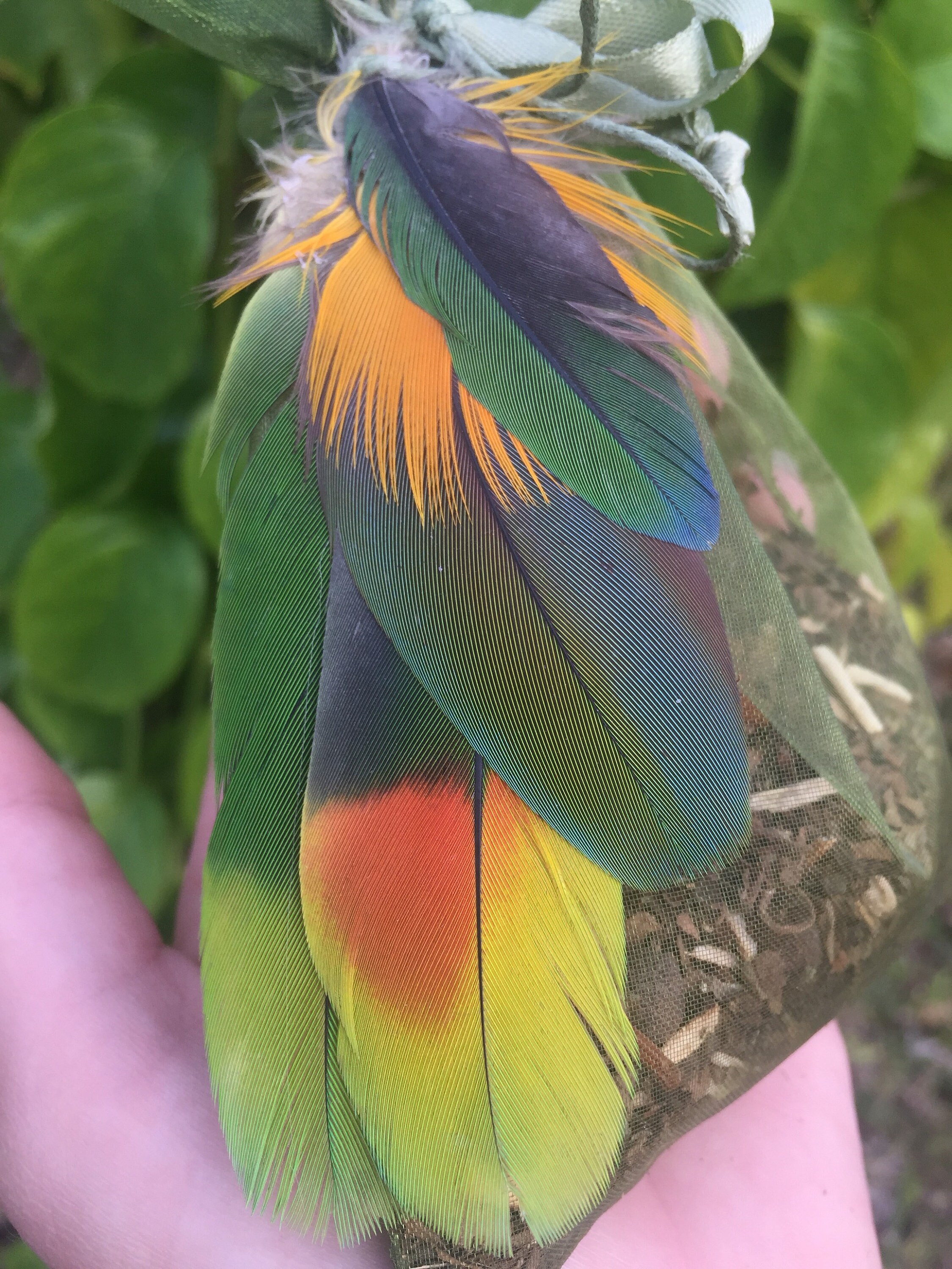 Prosperity Pouch Money Draw Abundance Crystals and Herbs - Etsy