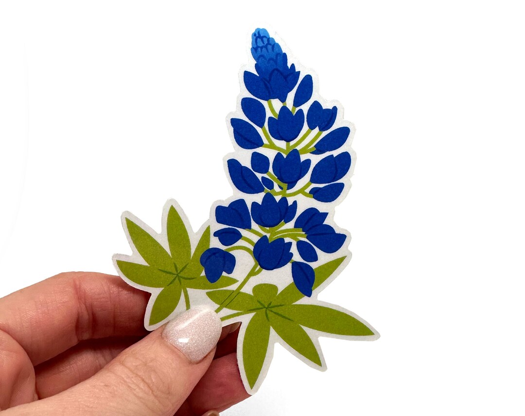 Texas Bluebonnet Sticker Water Resistant, Floral Blue Illustration ...