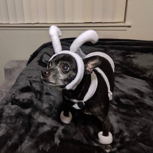 Houndoom Pet Costume | Pokémon Outfit for Pets | Anime Dog Apparel ...