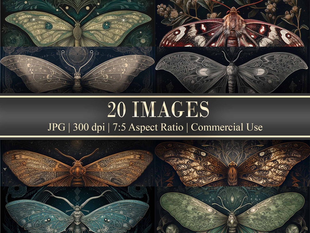 Dark Cottagecore Moth Dark Academia Moth Art Print Set Luna Moth ...