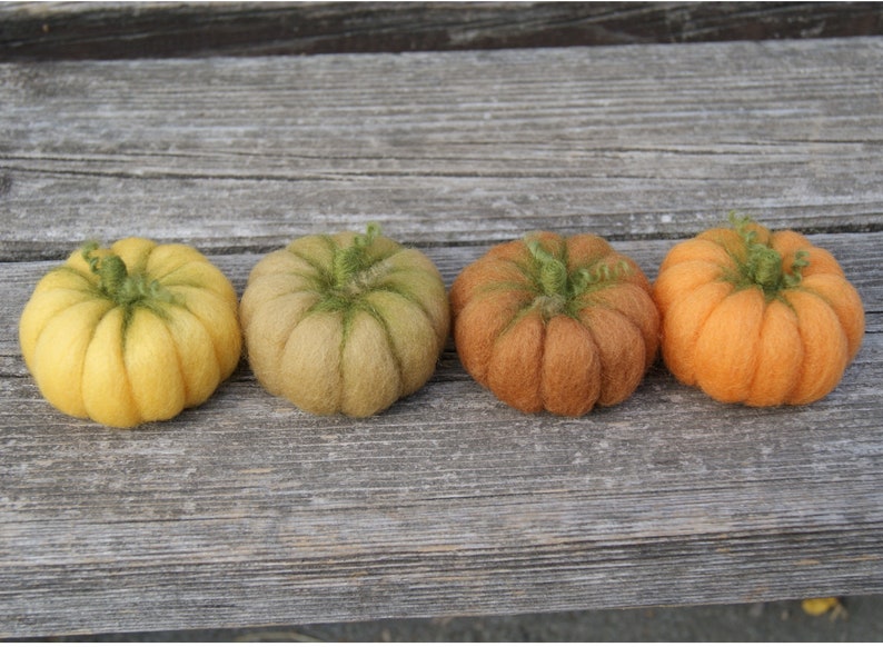 Needle Felted Wool Pumpkins Set of 4 Waldorf Inspired - Etsy