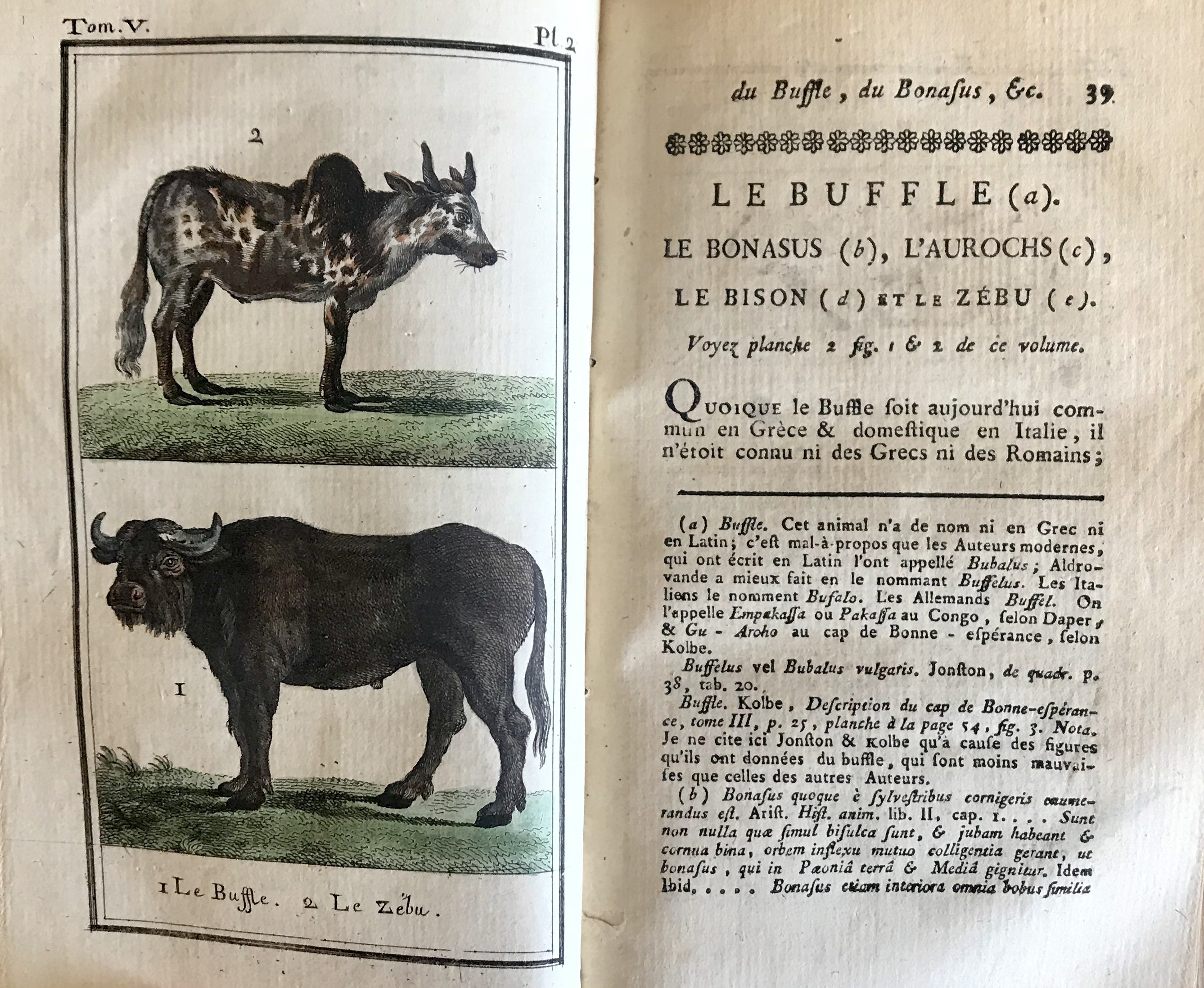 Georges Louis Leclerc Comte de Buffon Histoire naturelle, Quadrupèdes ...