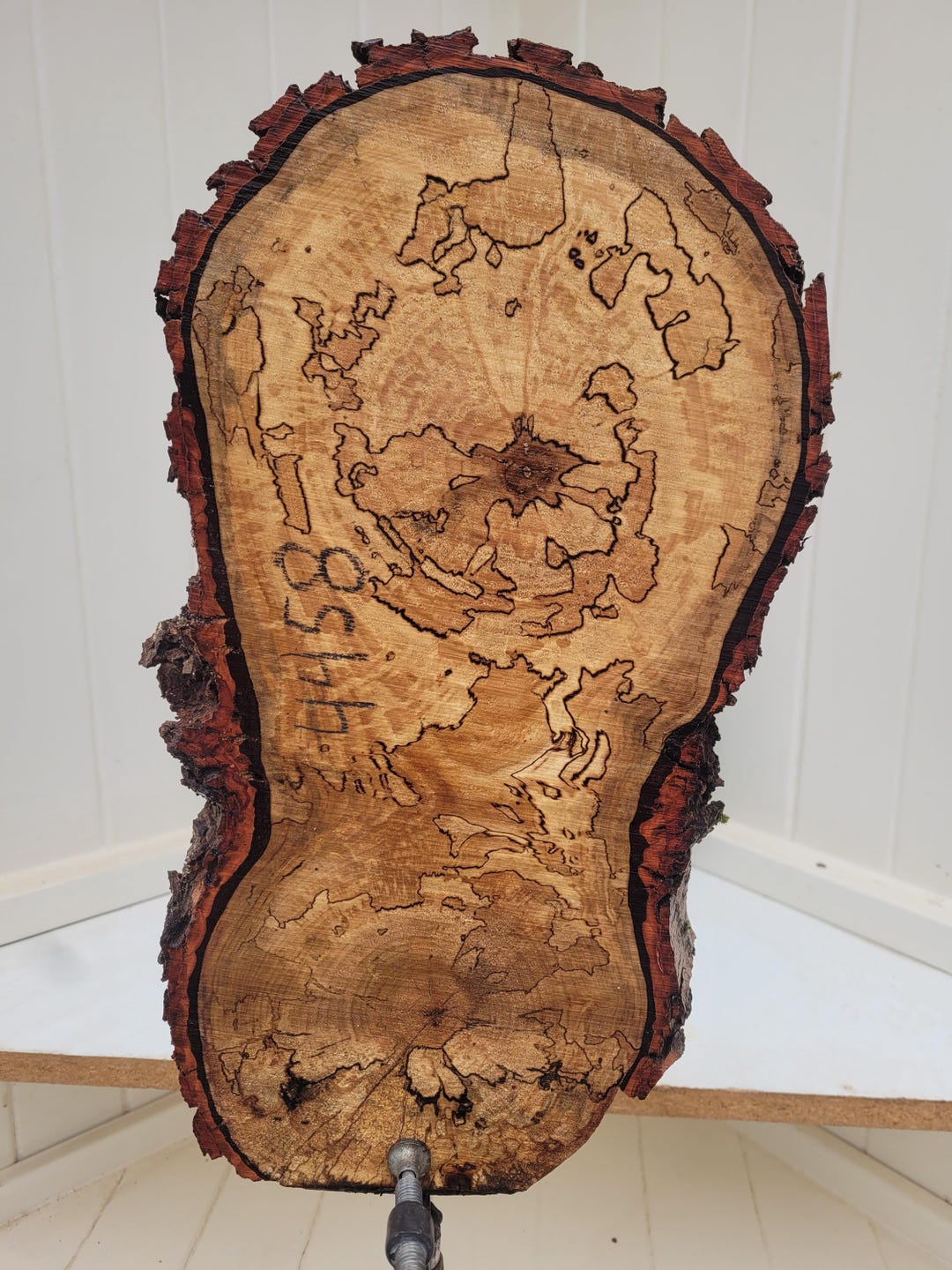 Spalted Maple Cookie * 15" X 7" X 1-1/4" * Raw Wood * Diy Art * Dry ...