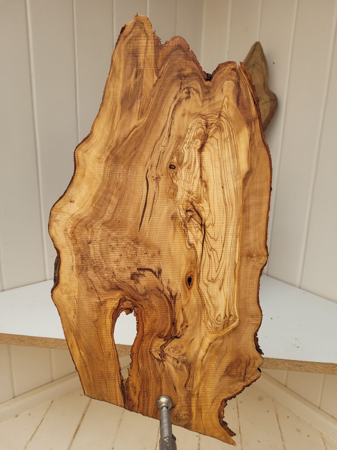 Olive Cap Piece 18 X 8 X 2 Olive Cap Diy Art Odd Piece Dry lot 3429 - Etsy