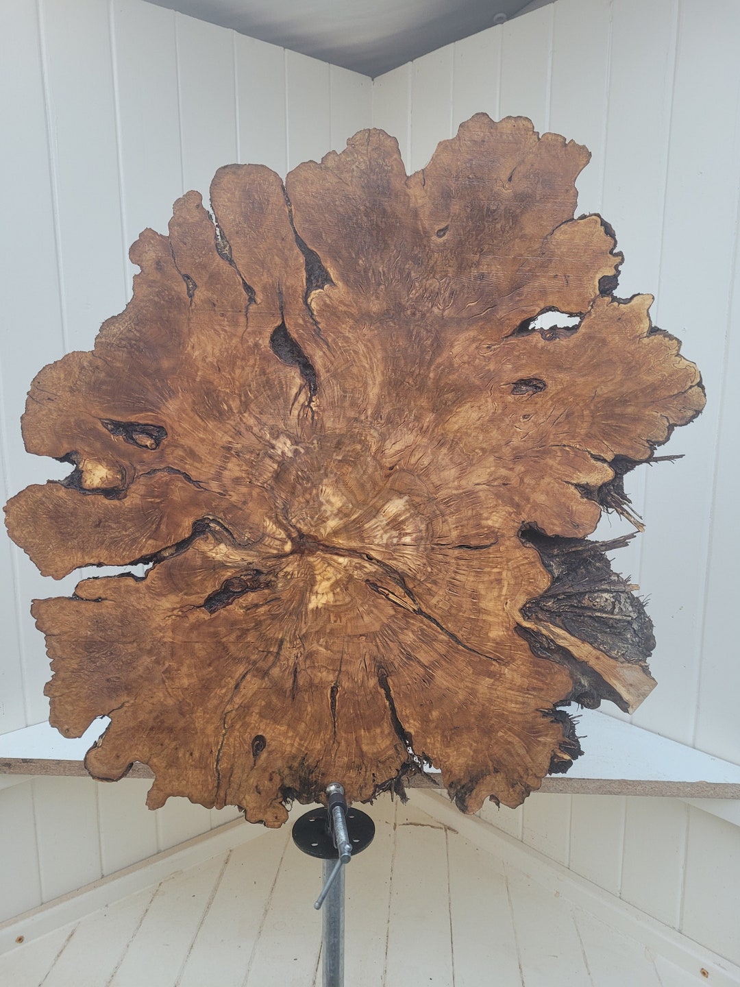 Olive Burl Cookie * 24" × 22" X 1-1/2" * DIY Olive Burl Wood * DIY ...