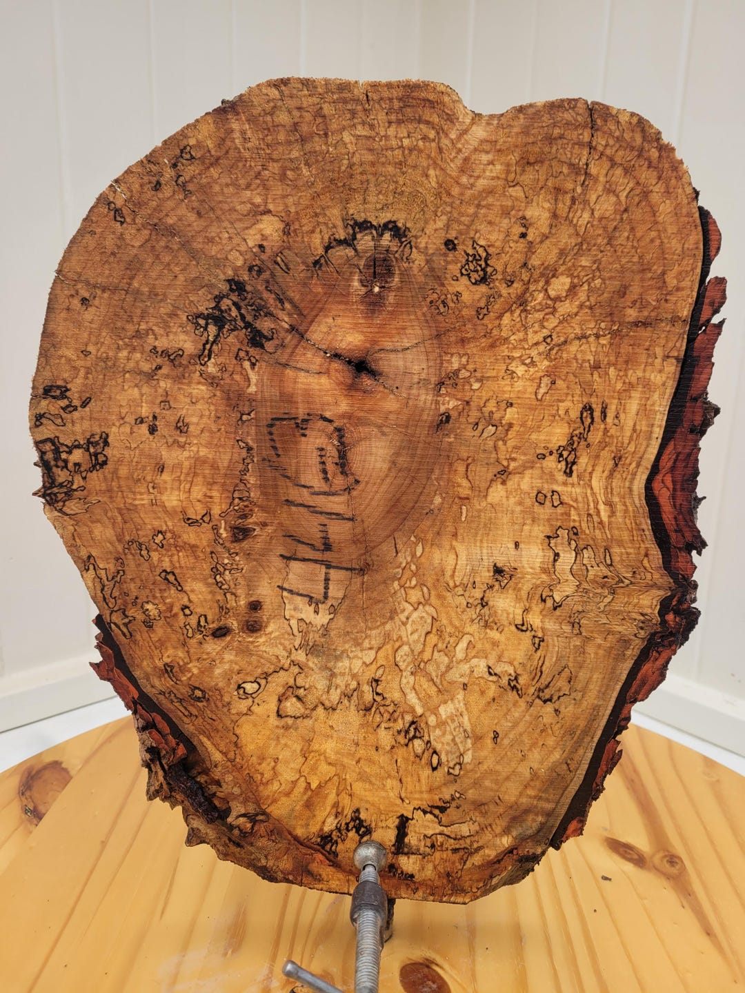 Spalted Maple Cookie * 13" X 11" X 1-1/4" * Raw Wood * Diy Art * Dry ...