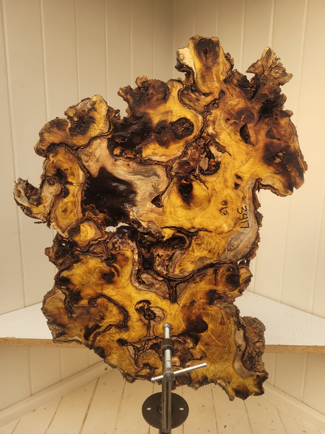 Mulberry Burl 20 14 X 1-1/2 DIY Mulberry Wood Very Fragile Piece DIY ...