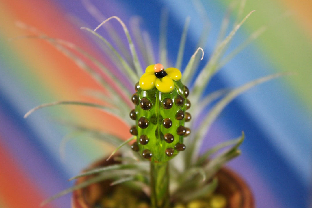 Cactus Plant Poker, Small Plant Poker, Glass Miniature, Fairy Garden ...