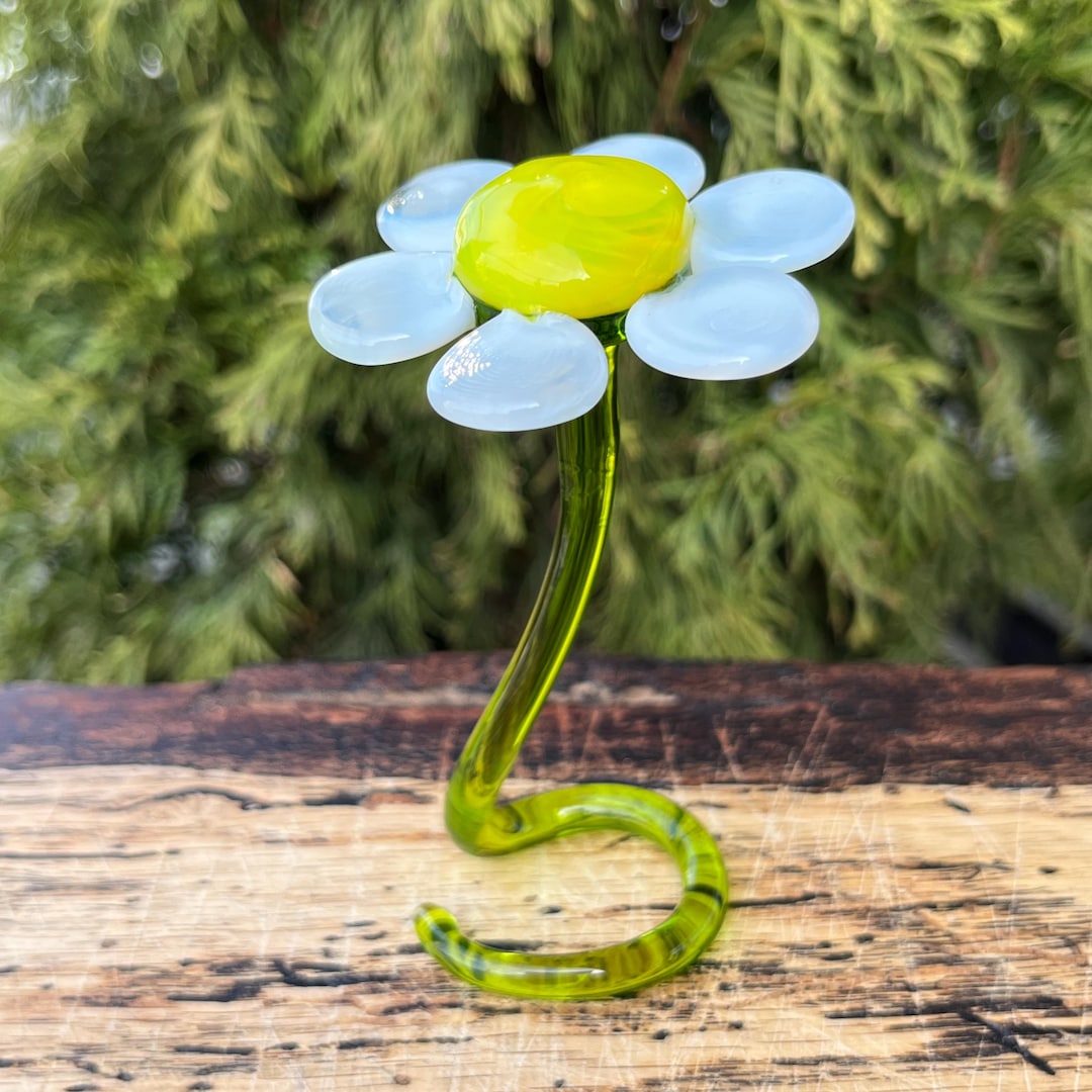 Glass Daisy Flower Figurine – White Art Glass Flower Sculpture – Murano ...