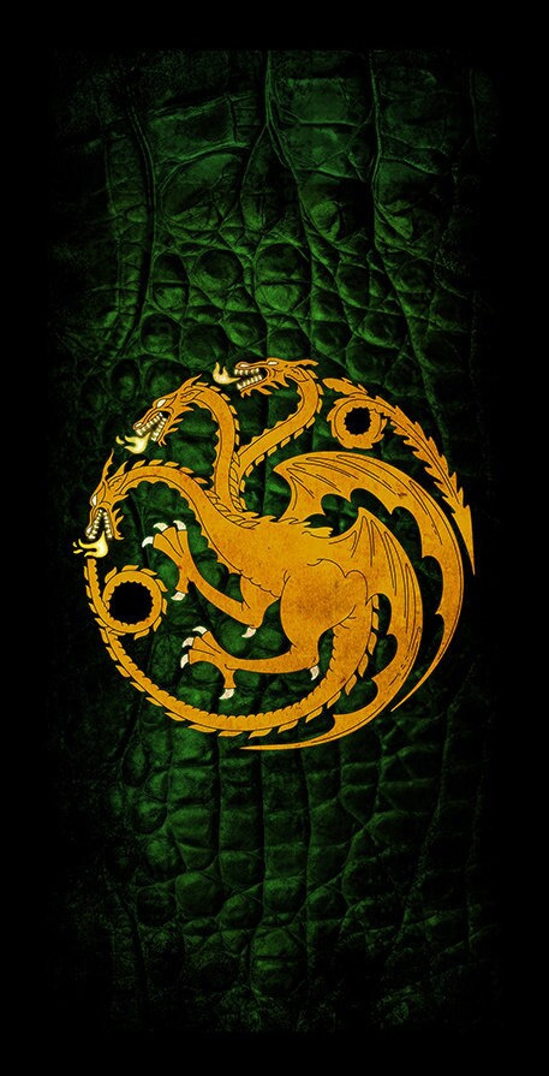 Aegon Targaryen HOTD Lifesize Banner - Etsy