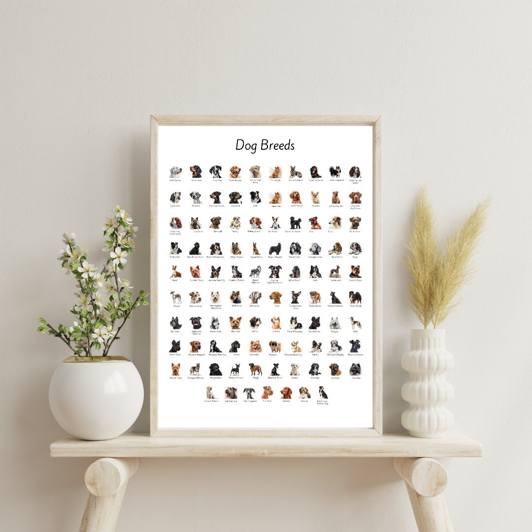 Dog Breeds Poster, Dog Breeds Infographics, Dog Breeds Print, Dog Lover ...