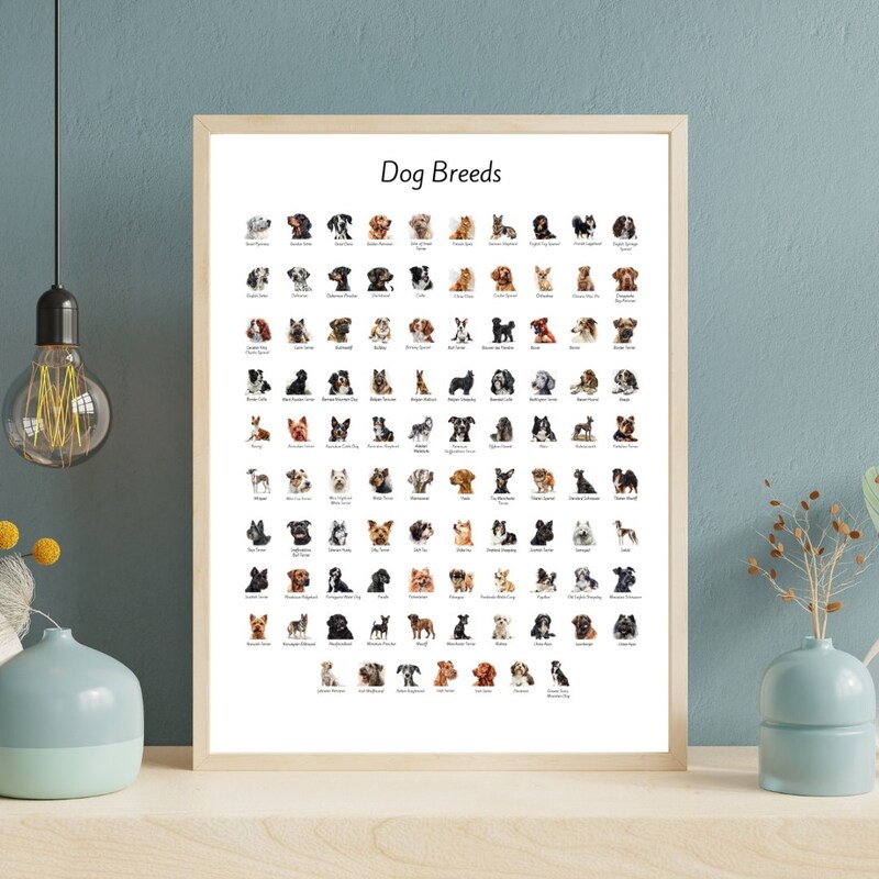 Dog Breeds Poster - Etsy