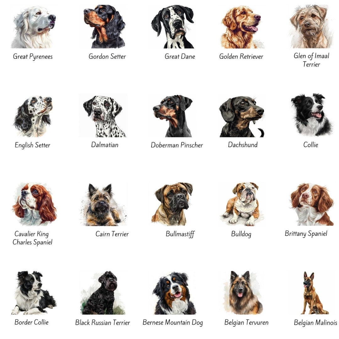 Dog Breeds Poster, Dog Breeds Infographics, Dog Breeds Print, Dog Lover ...