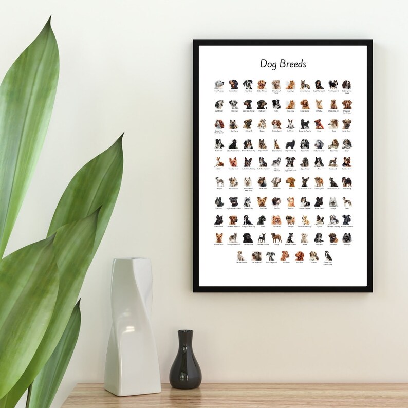 Dog Breeds Poster, Dog Breeds Infographics, Dog Breeds Print, Dog Lover ...