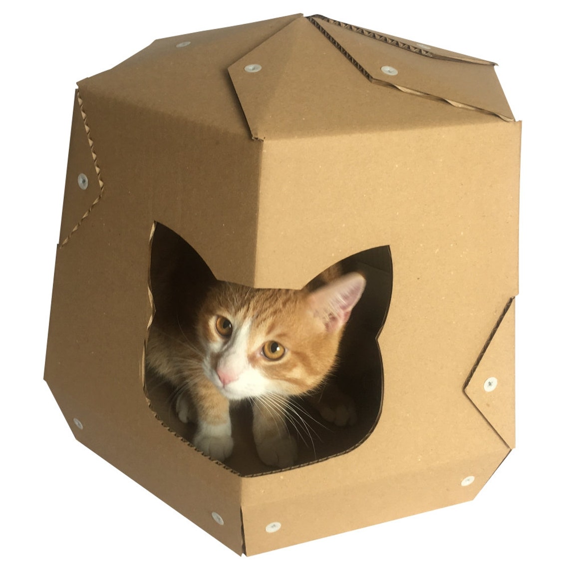 Mars One Cardboard Cat House - Etsy