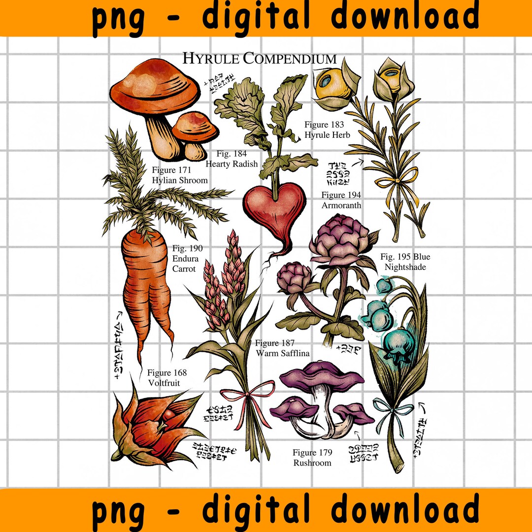 Legend of Zelda Png, Flora of Hyrule Png, Link Zelda Shirt Png, Breath ...
