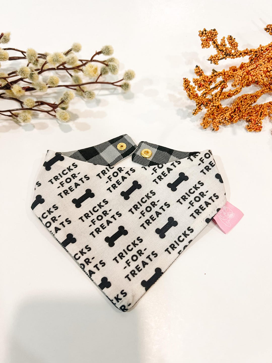 Trick or Treat Dog, Curved Neck Snap on Dog Bandana, Spooky Print Pet ...