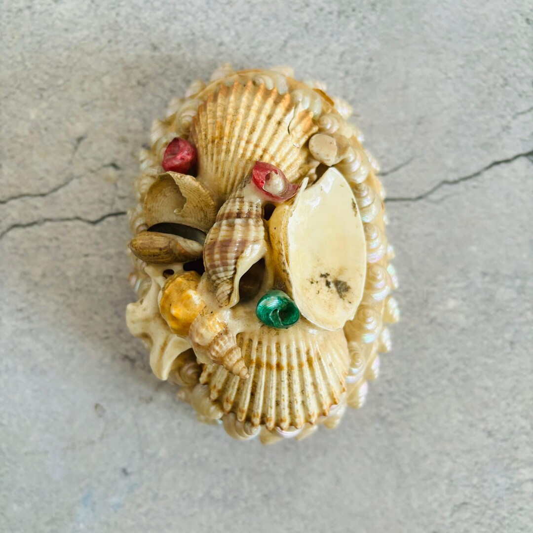 Victorian Shell Decorative Lid - Etsy