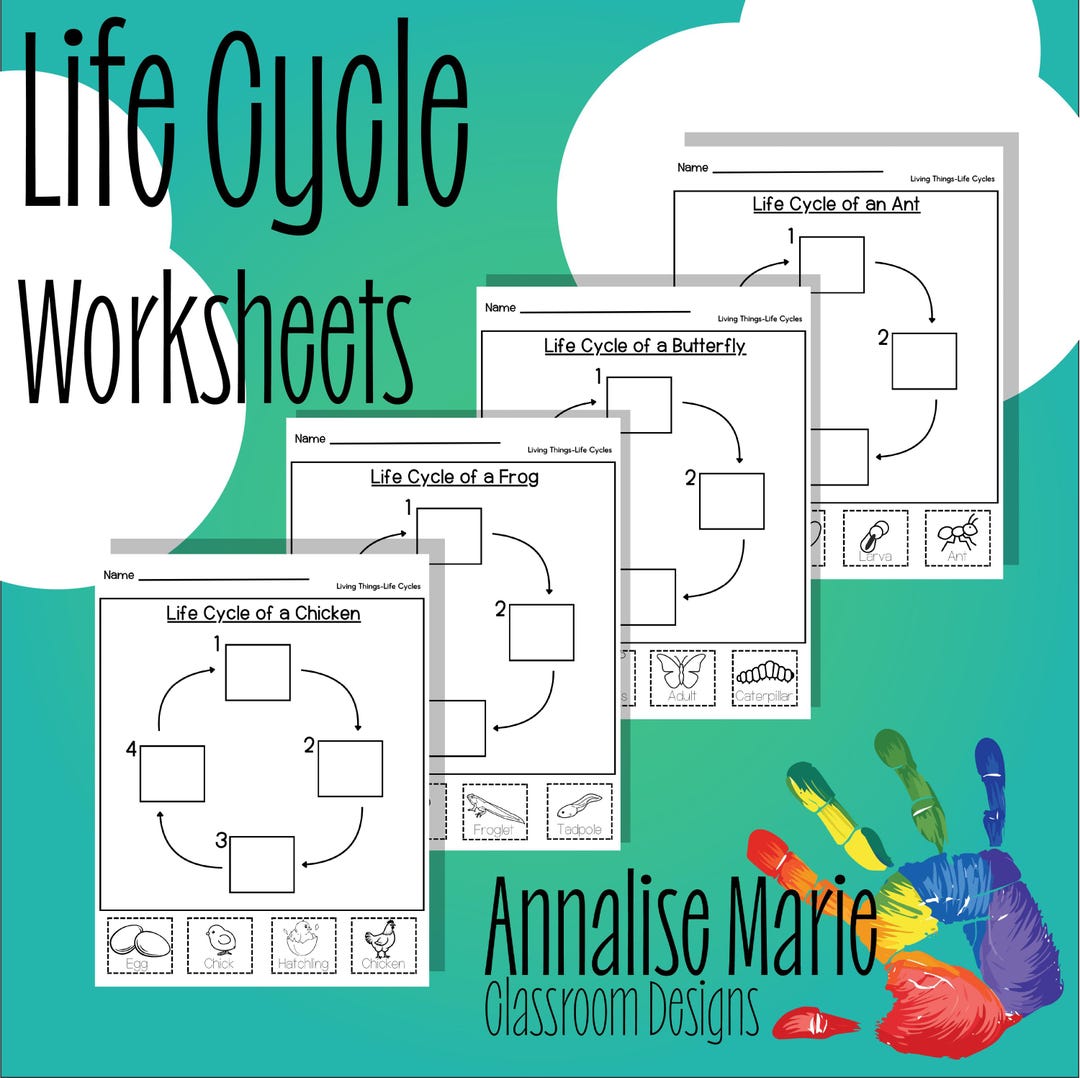 Life Cycles Worksheets - Etsy